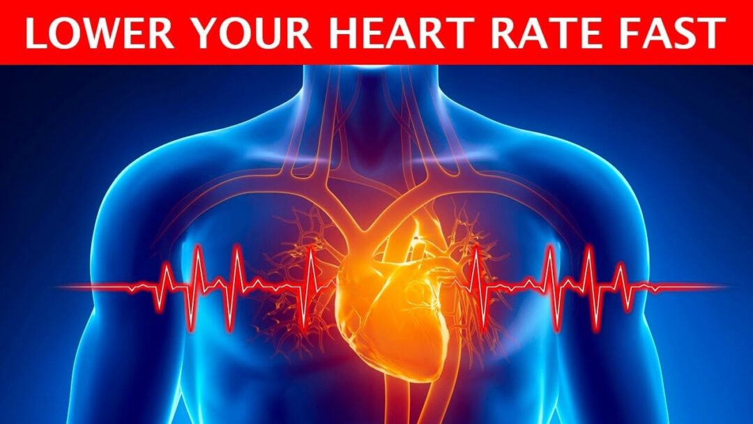 How To Lower Heart Rate Naturally: 10 Proven Methods In 2024
