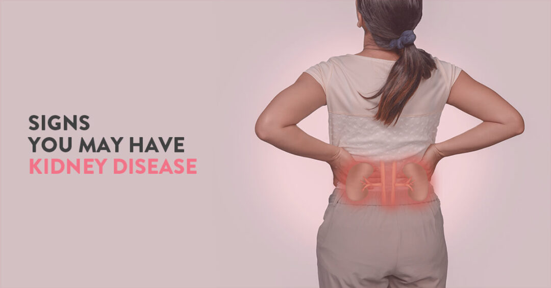 10 Signs Of Kidney Disease: Symptoms You Shouldn't Ignore